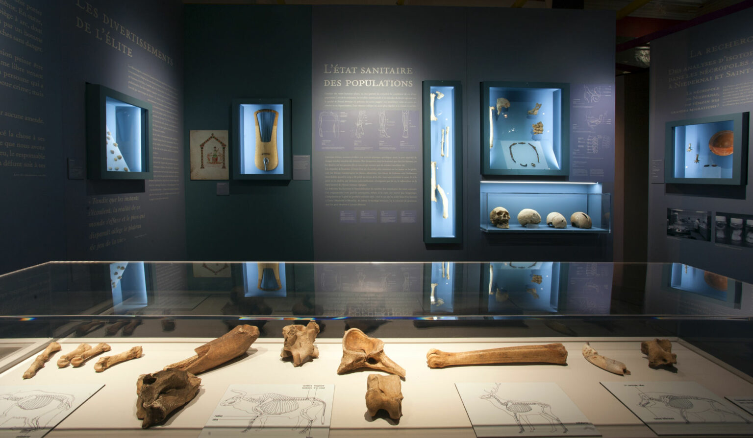 Austrasie. Le royaume mérovingien oublié | Atelier Caravane ...